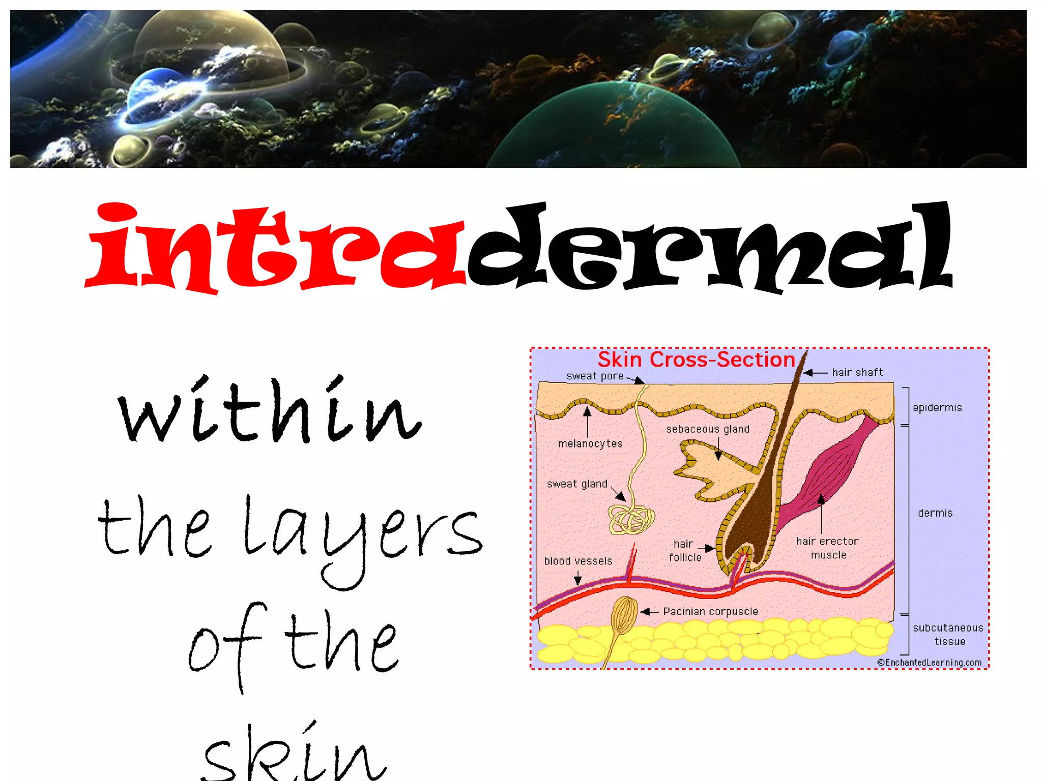 Intra vocabulary words | PPT