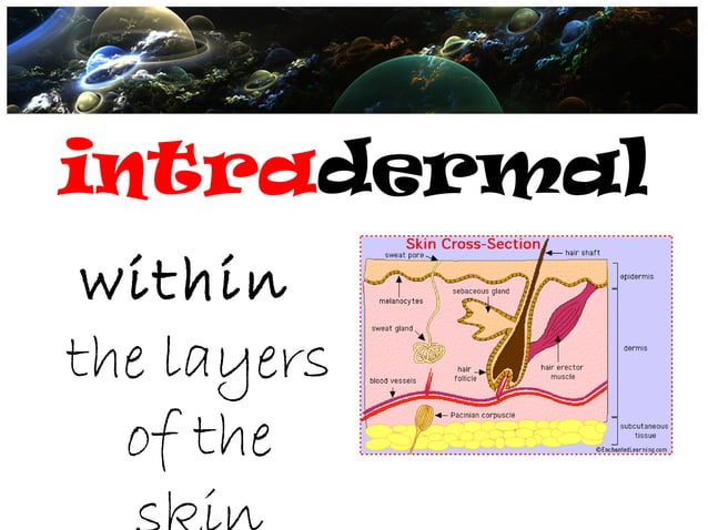 Intra vocabulary words | PPT