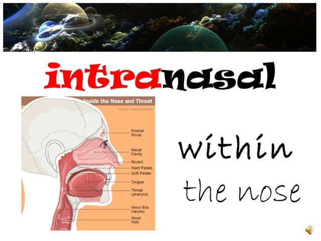 Intra vocabulary words | PPT