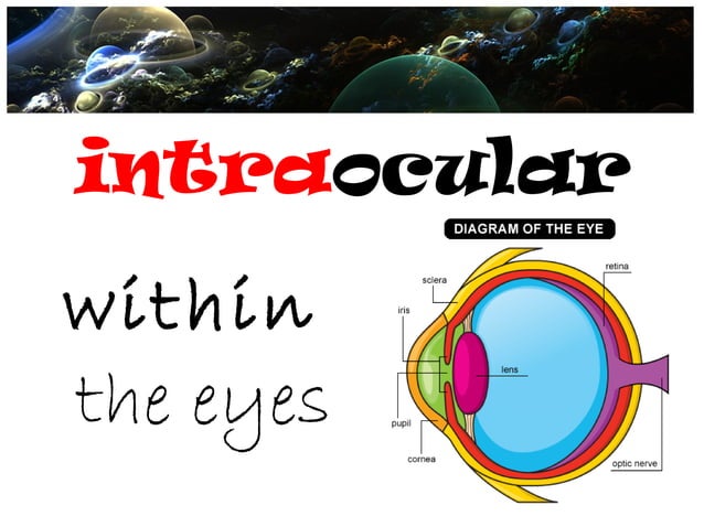 Intra vocabulary words | PPT