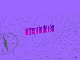 Intreprinderea | PPT