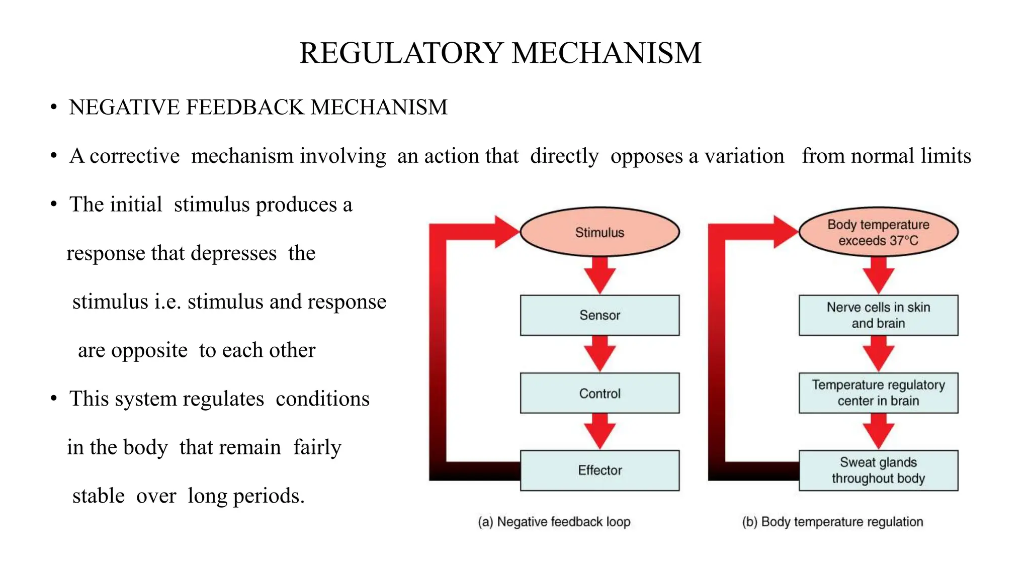 intriduction to physiology [Autosaved].pptx