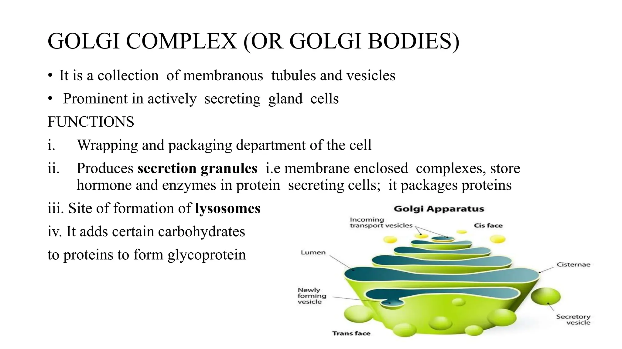 intriduction to physiology [Autosaved].pptx