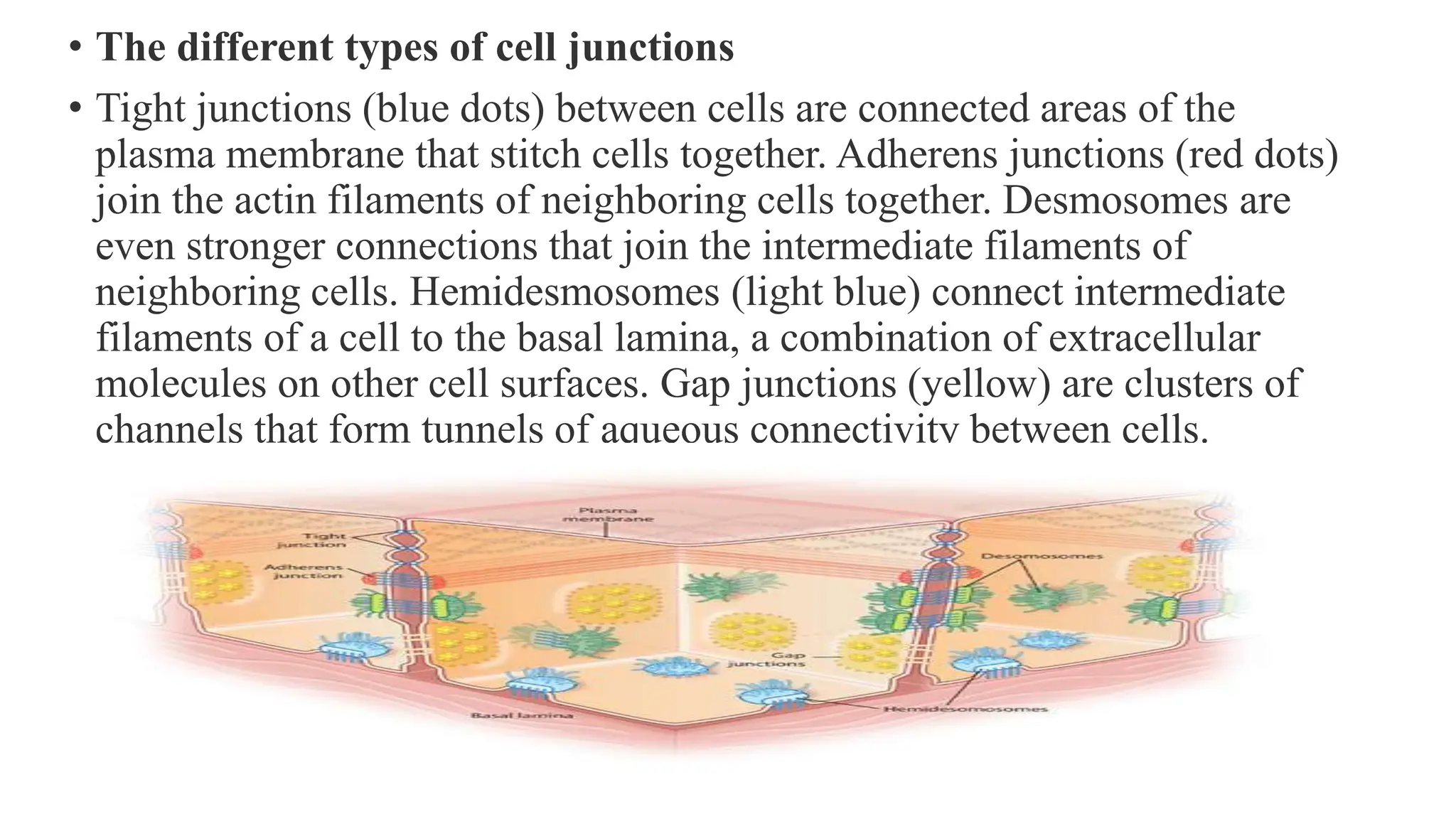 intriduction to physiology [Autosaved].pptx