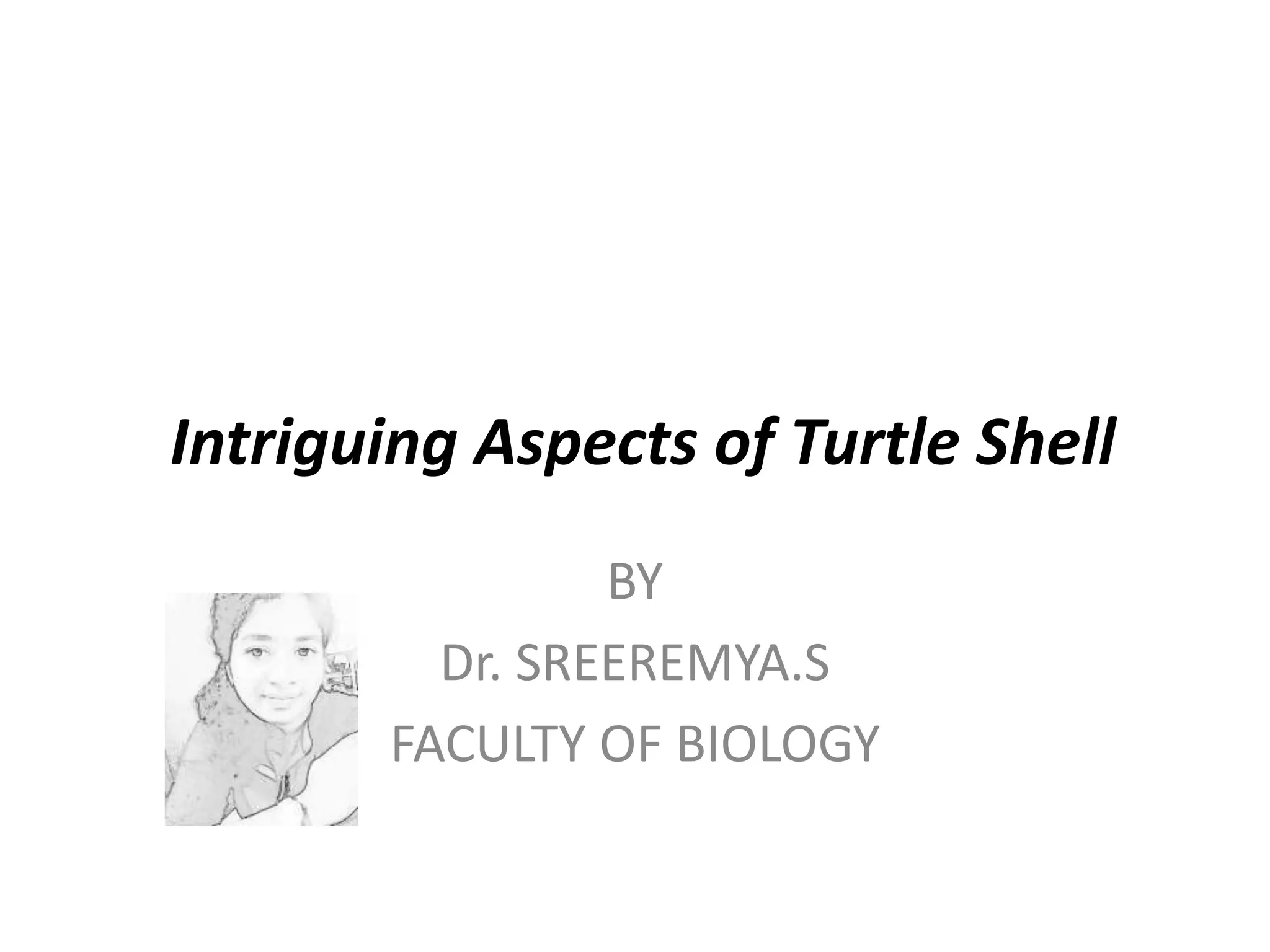 Intriguing aspects of turtle shell | PPTX