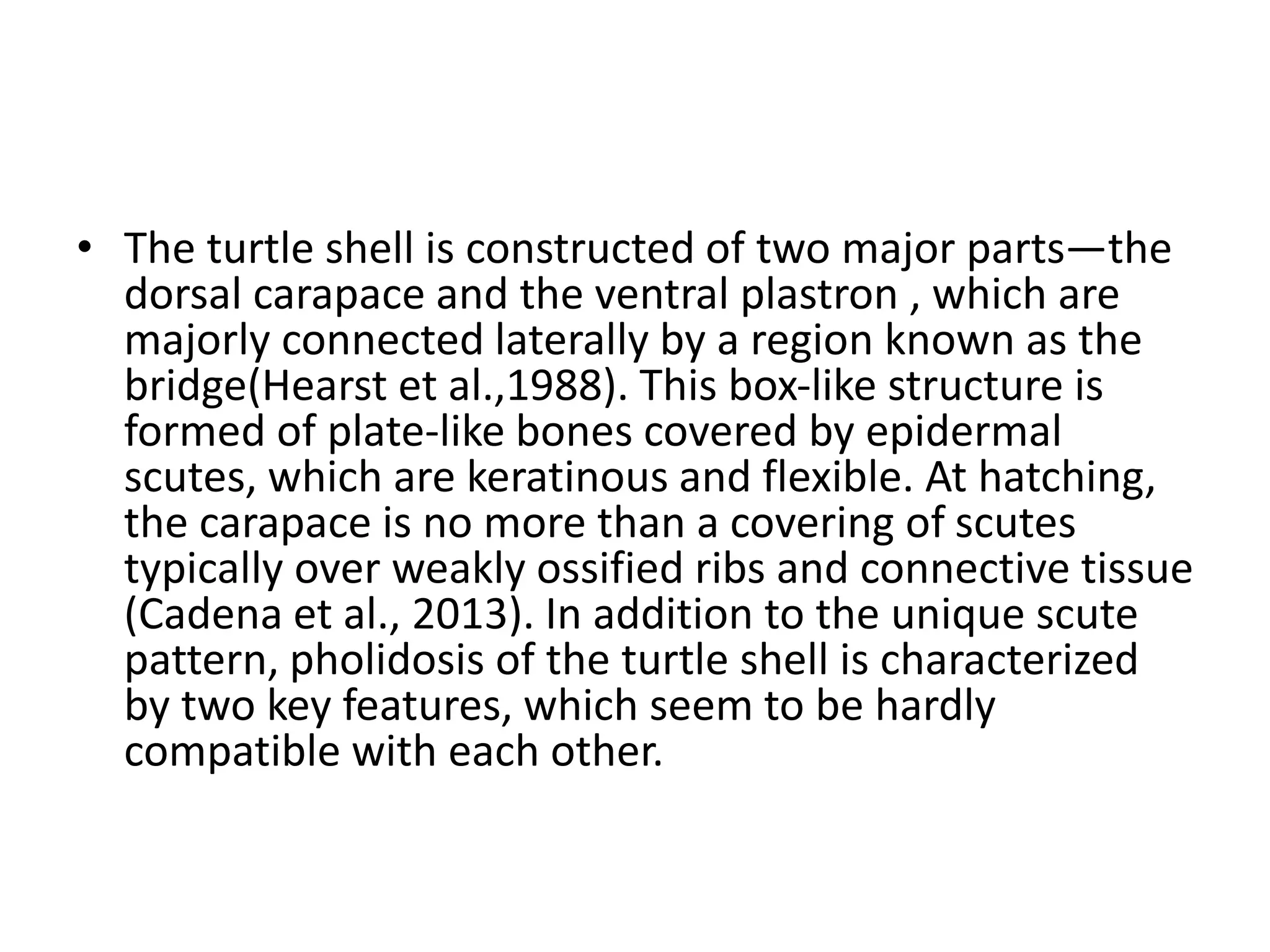 Intriguing aspects of turtle shell | PPTX