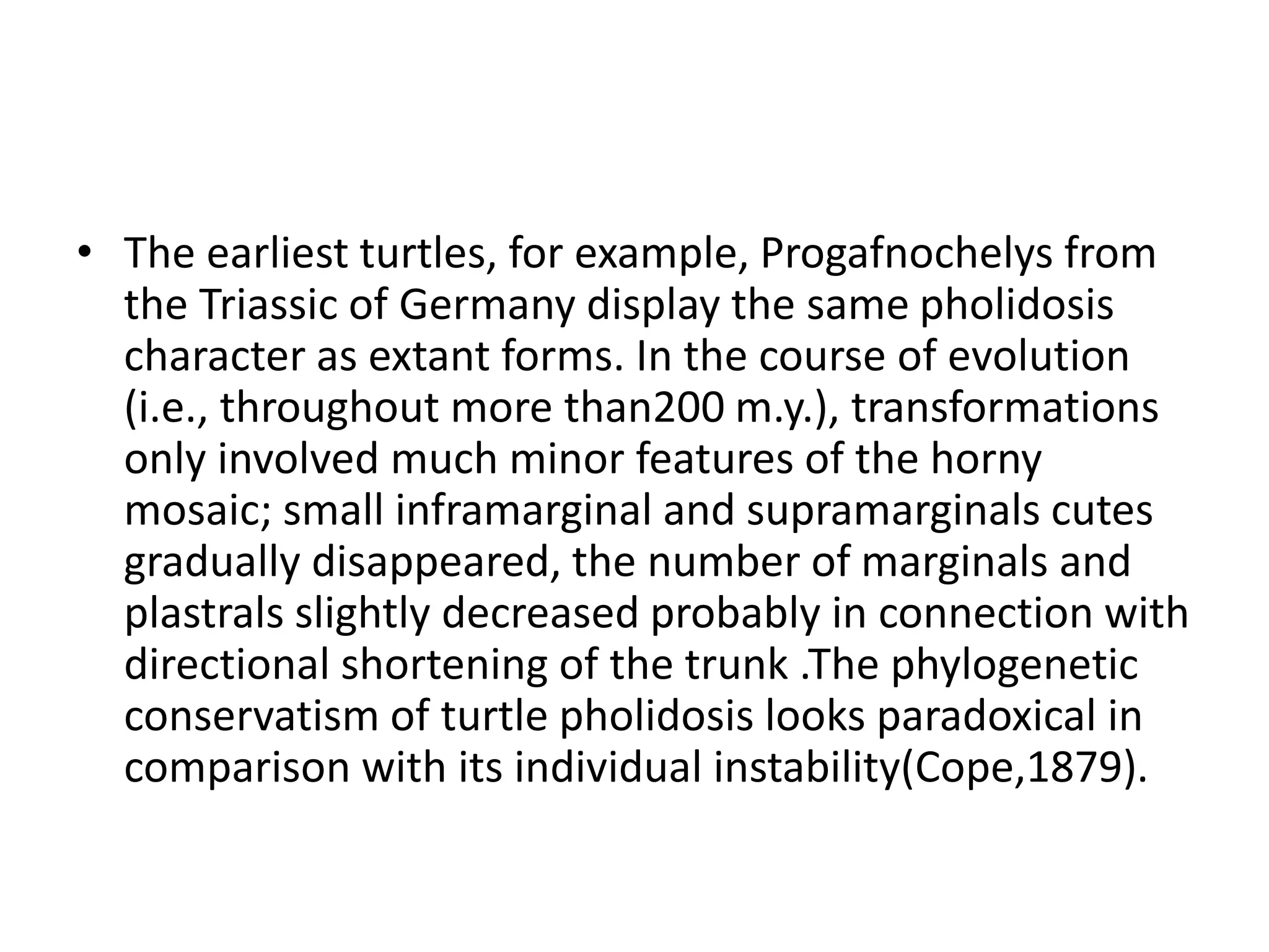 Intriguing aspects of turtle shell | PPTX