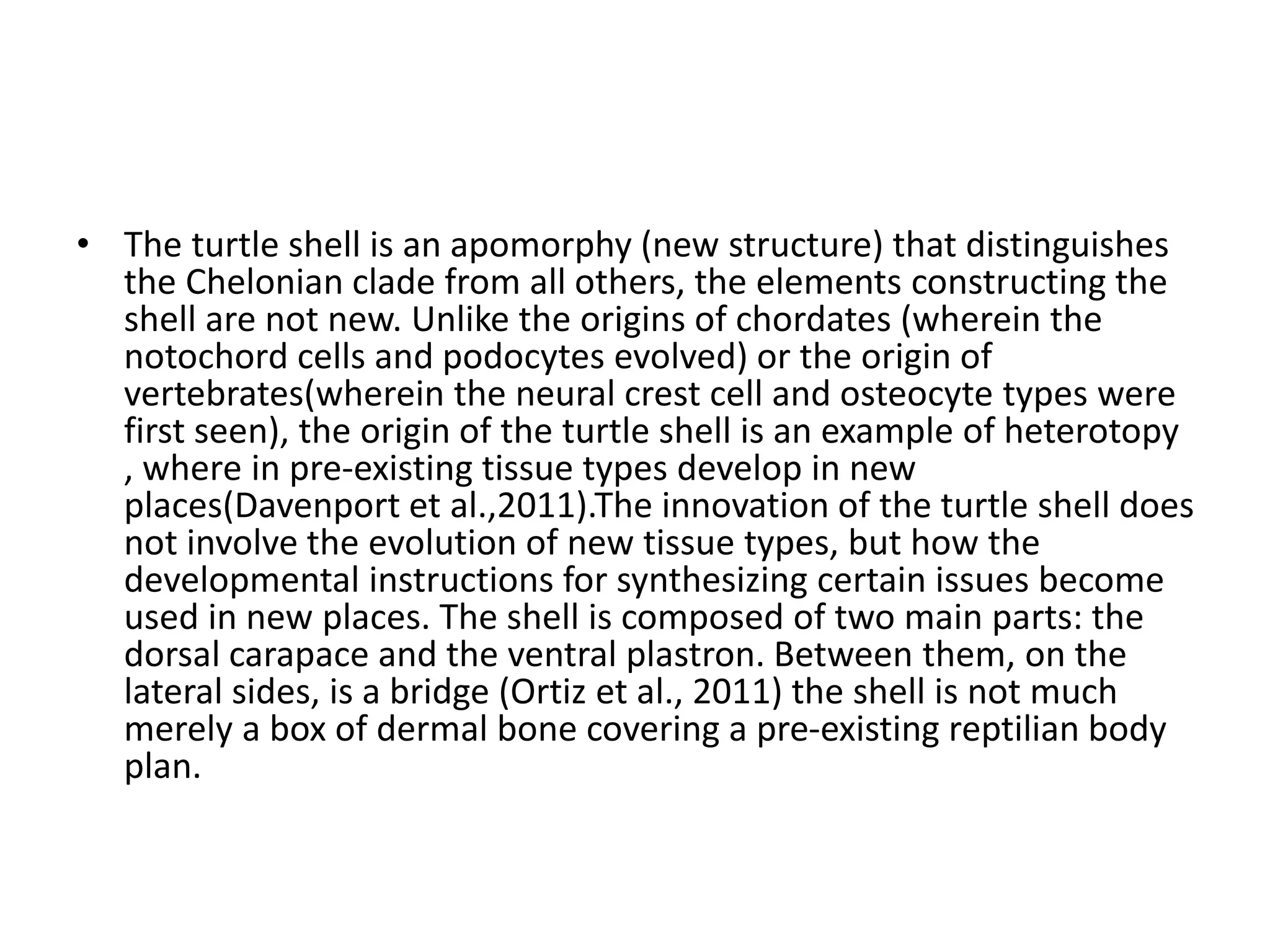 Intriguing aspects of turtle shell | PPTX