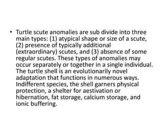 Intriguing aspects of turtle shell | PPTX