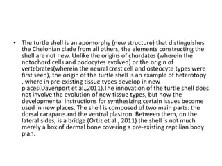 Intriguing aspects of turtle shell | PPTX