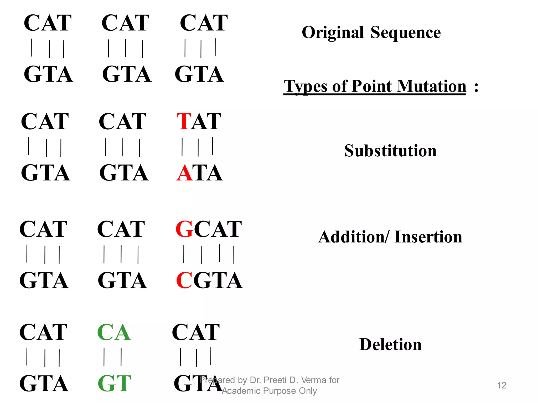 Intrinsic factors part 2 Brief | PPT