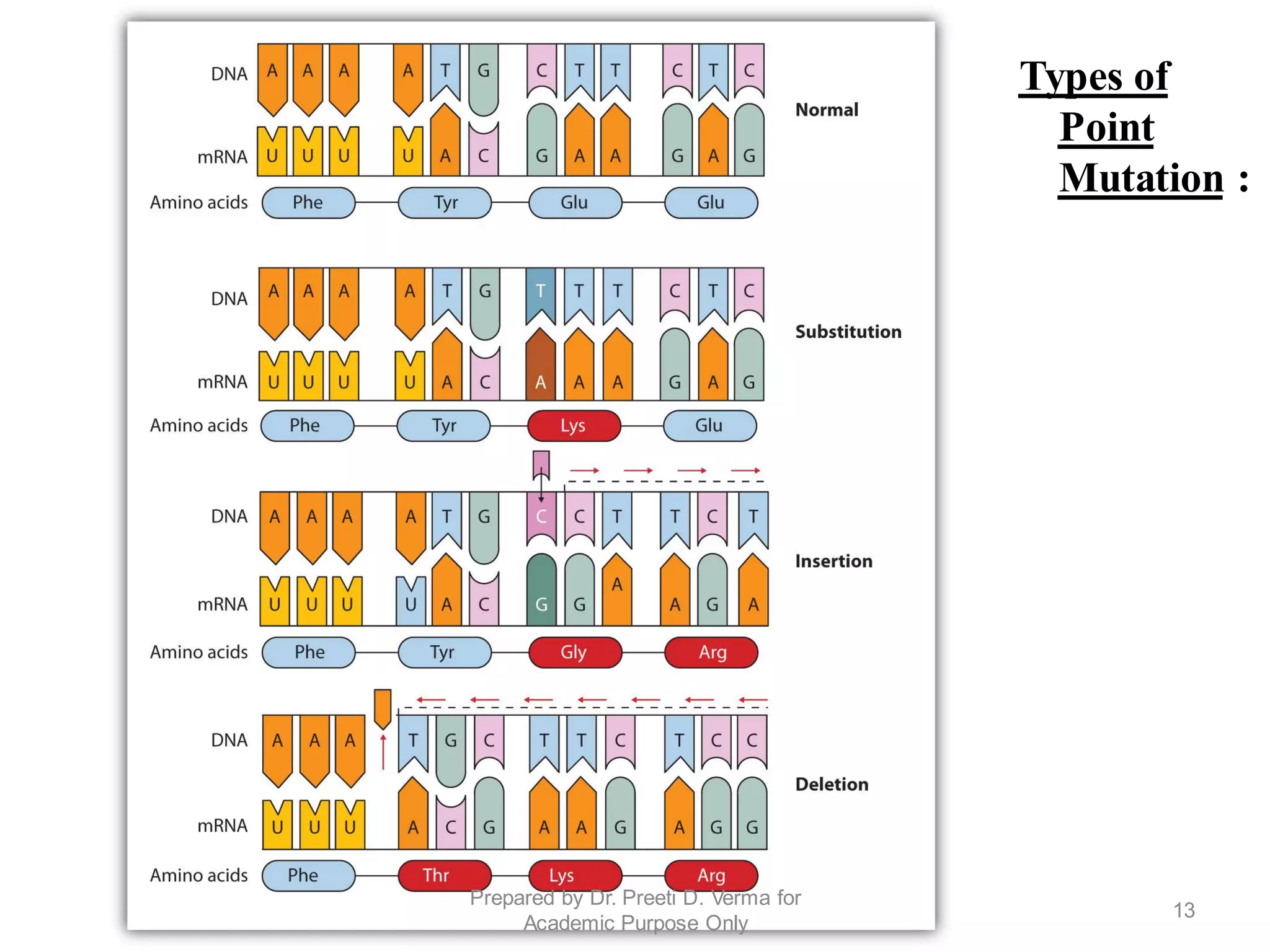 Intrinsic factors part 2 Brief | PPT