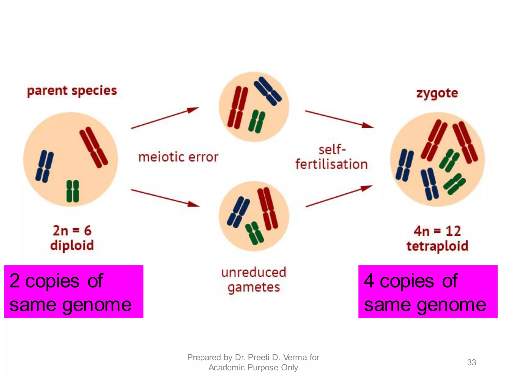 Intrinsic factors part 2 Brief | PPT