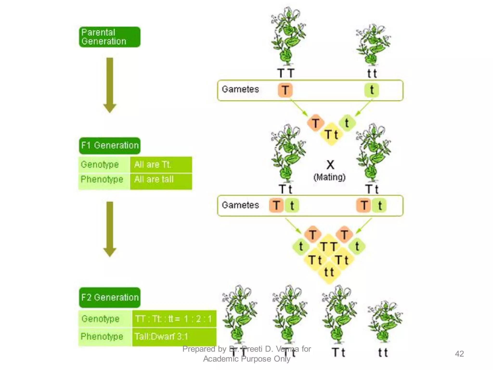 Intrinsic factors part 2 Brief | PPT
