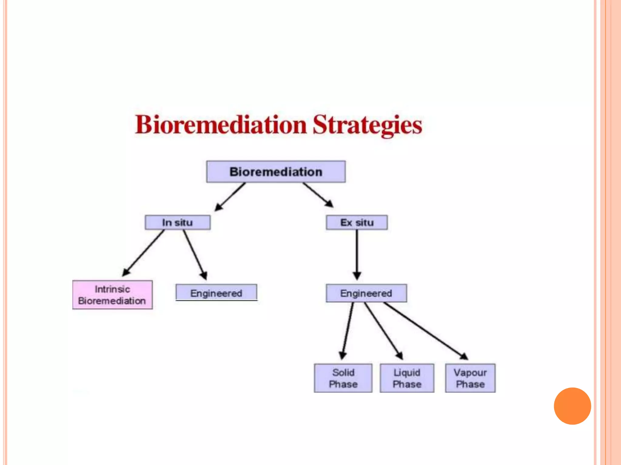 Intrinsic in Situ Bioremediation | PPT