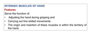 intrinsic muscles of Hand.pptx