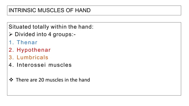 intrinsic muscles of Hand.pptx | Death, Injury, or Military Conflict ...