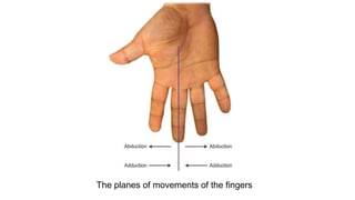 intrinsic muscles of Hand.pptx