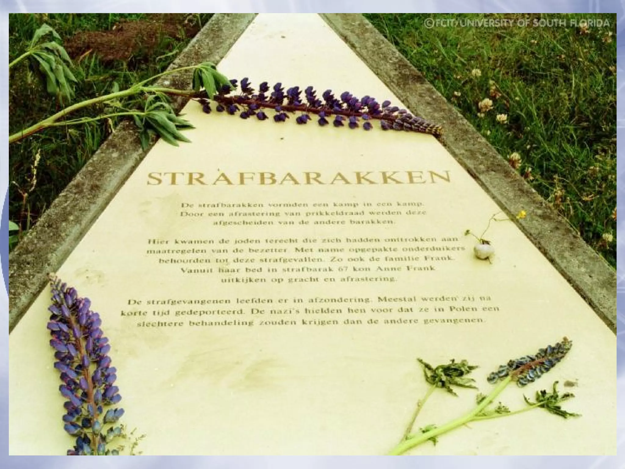 Anne Frank notes | PPT