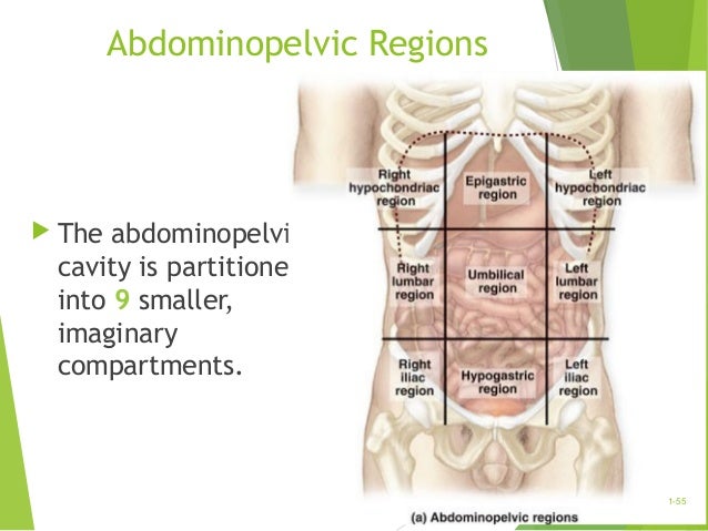 Abdominopelvic