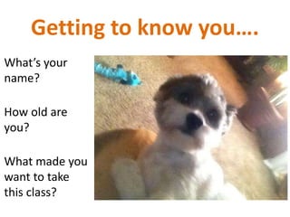 Intro to STEM for Girls: Using JavaScript to Mod Minecraft | PPTX | Web Development | Internet