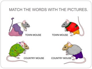 Intro - Town Mouse and Country Mouse | PPTX