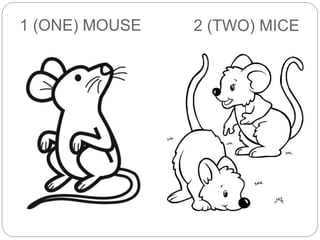 Town Mouse Country Mouse Coloring Pages