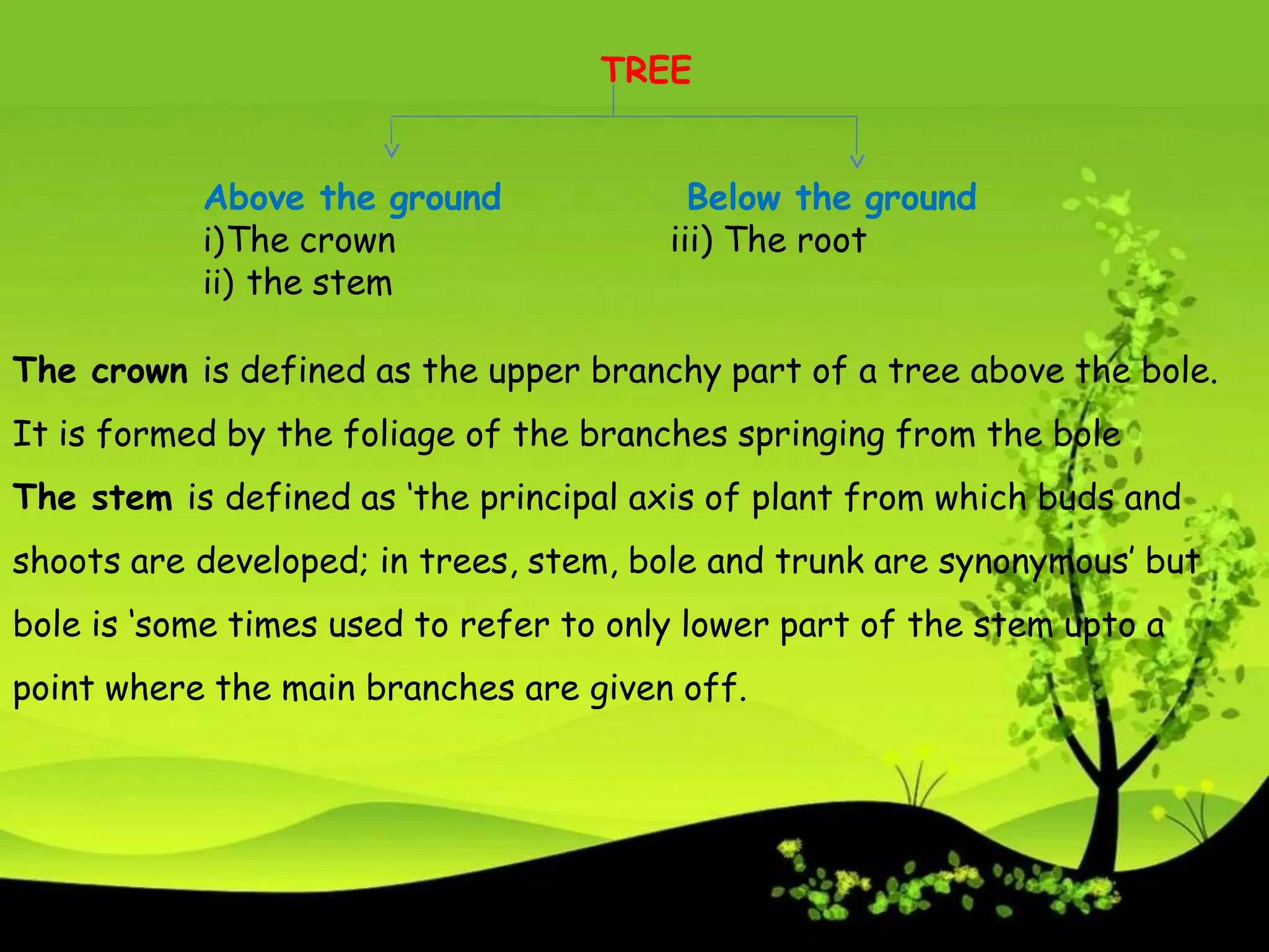 Introduction of forestry | PPTX