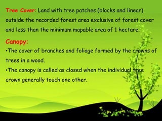 Introduction of forestry | PPTX