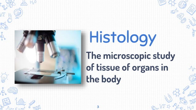 Introduction To Histological Techniques Ppt