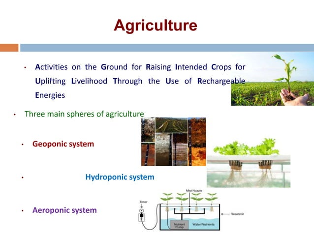 Agriculture and Agronomy | PPT | Agriculture | Industries