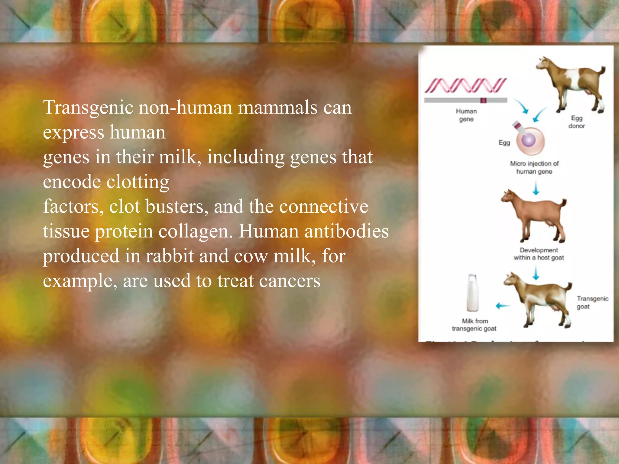 genetic engineering | PPT