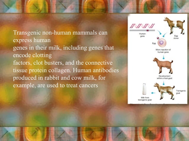 genetic engineering | PPT