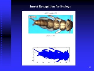Introduction to computer vision - what is cv | PPT