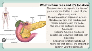 Introduction To Endocrine System- biopsychology | PPT