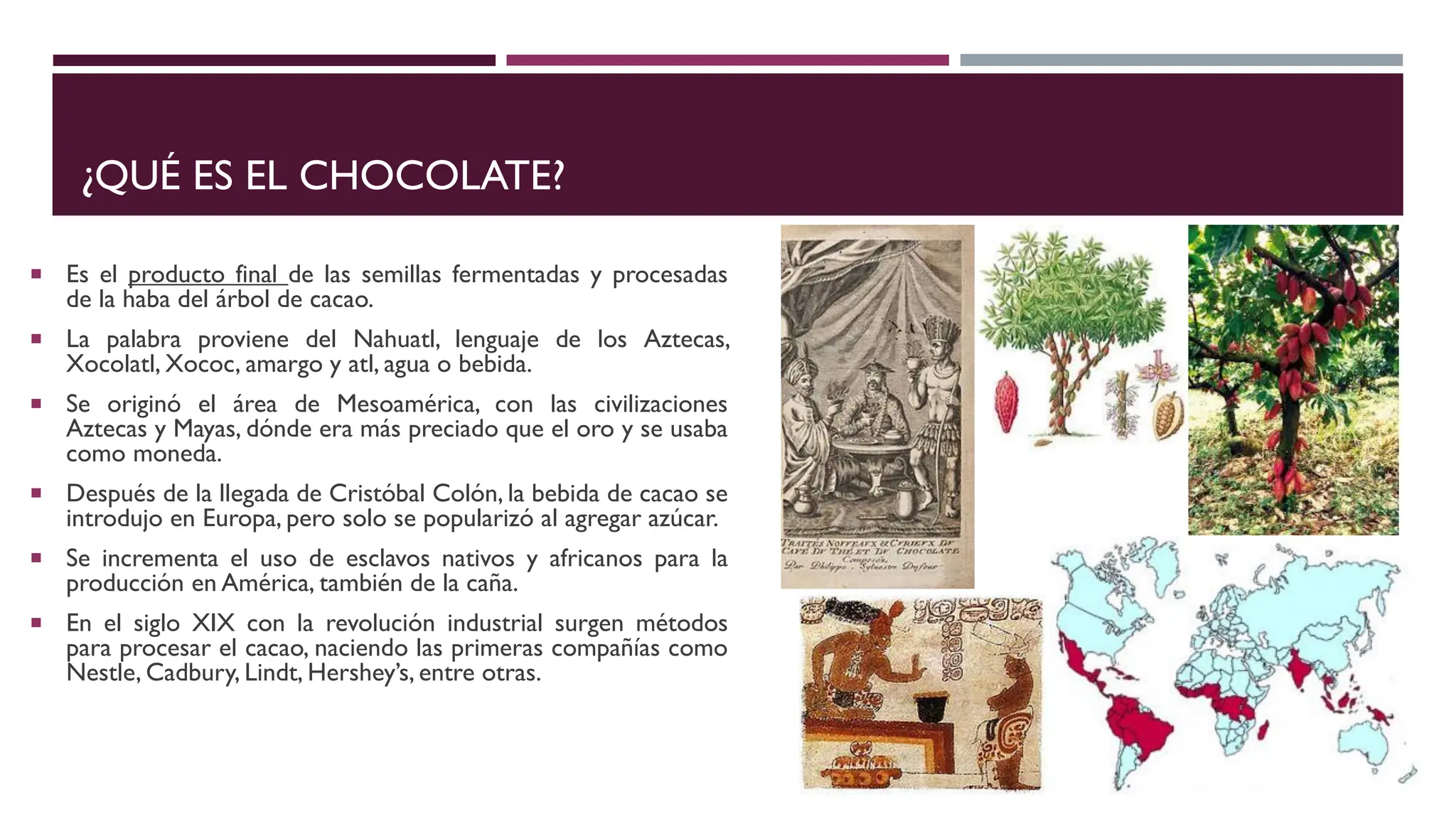 introduccion al chocolate, cacao, proceso | PDF
