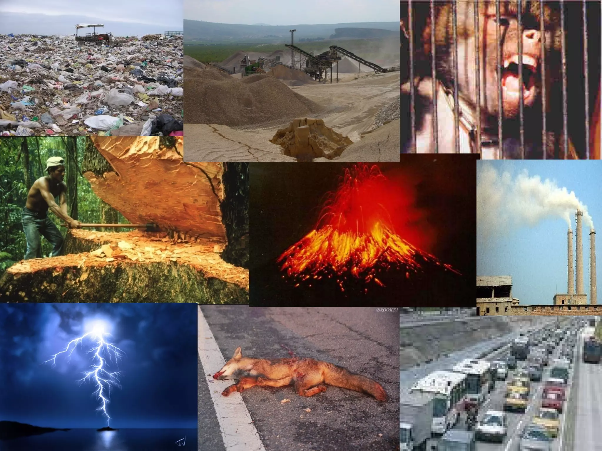 Environmental Problems | PPT