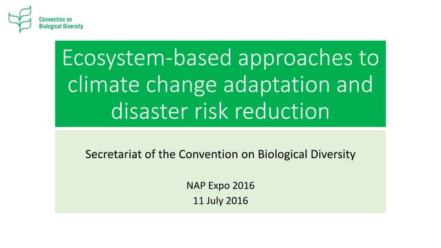 Ecosystem-based approaches to climate change adaptation and disaster risk reduction | PDF