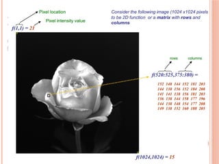 Introduction to Digital Image Processing | PPT