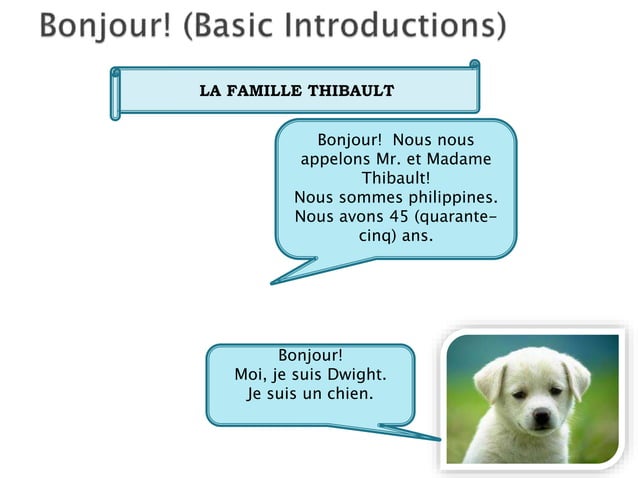 Introduction to French Language | PPTX