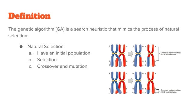 Introduction To The Genetic Algorithm Ppt 