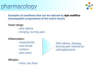 Intro - Homeopathy Medicine US Powerpoint | PPT