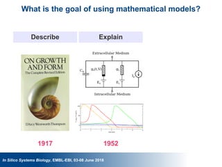 Modelling in Biology - WT/EBI course systems biology 2018 | PDF