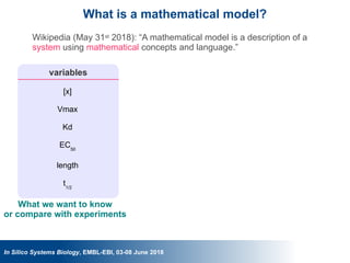 Modelling in Biology - WT/EBI course systems biology 2018 | PDF