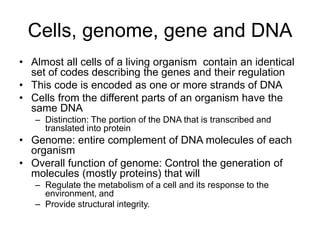 intro-molecular-biology.ppt