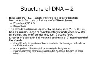 intro-molecular-biology.ppt
