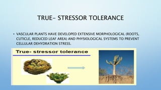 Intro-P S Physiology.pptx