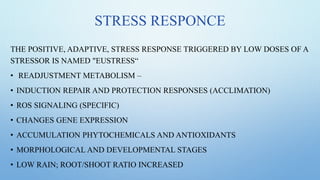 Intro-P S Physiology.pptx