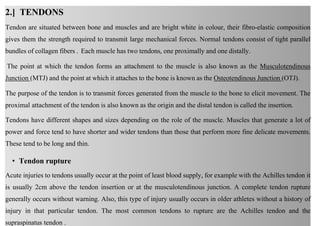 Introduction to Sports Injuries by- Dr. Anjali Rai | PPTX