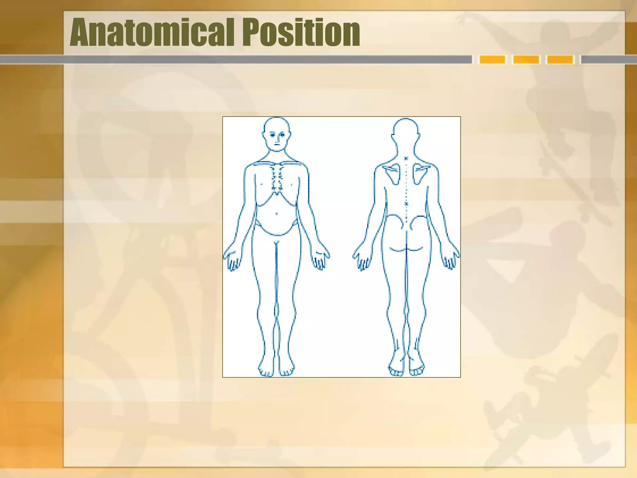 intro-terms.ppt